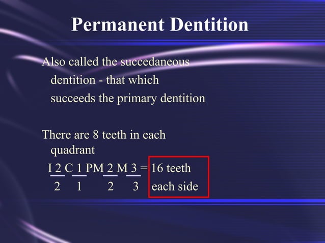Tooth Morphology Basics | PPT