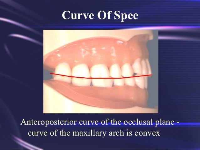 Tooth Morphology Basics