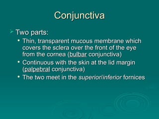 1 Topic 2 Eye Structure & Function.ppth