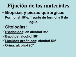 1 tp introducción a la patología | PPT