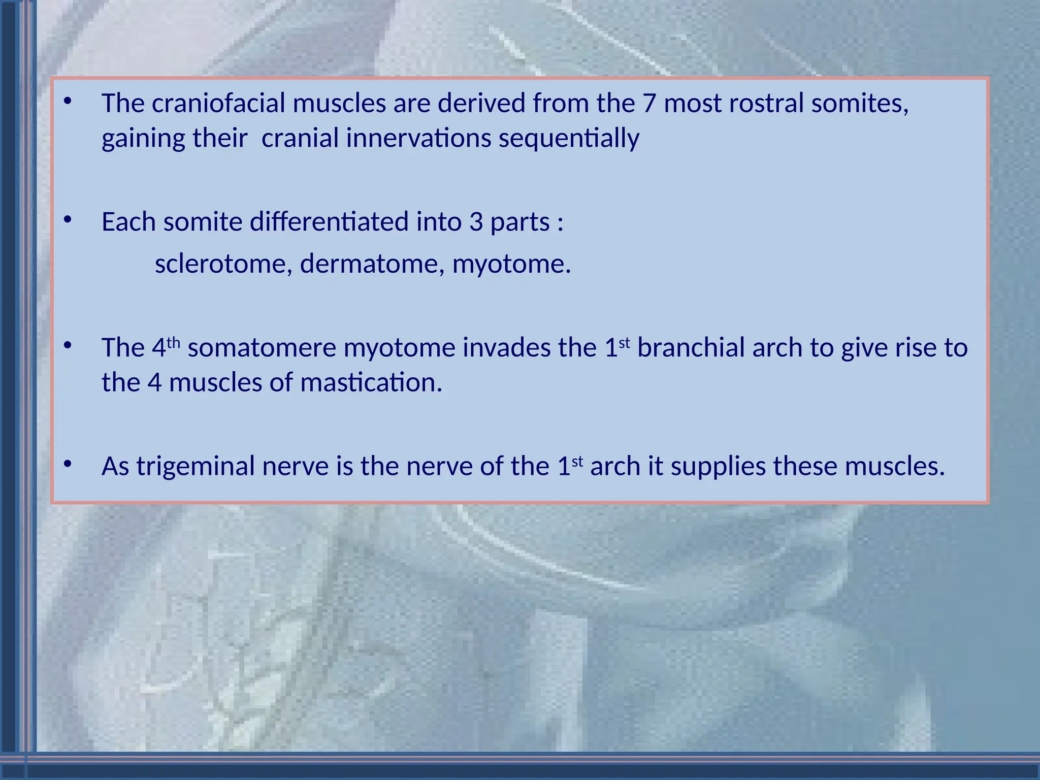 "The Trigeminal Nerve: Anatomy, Function, Clinical Significance, and ...