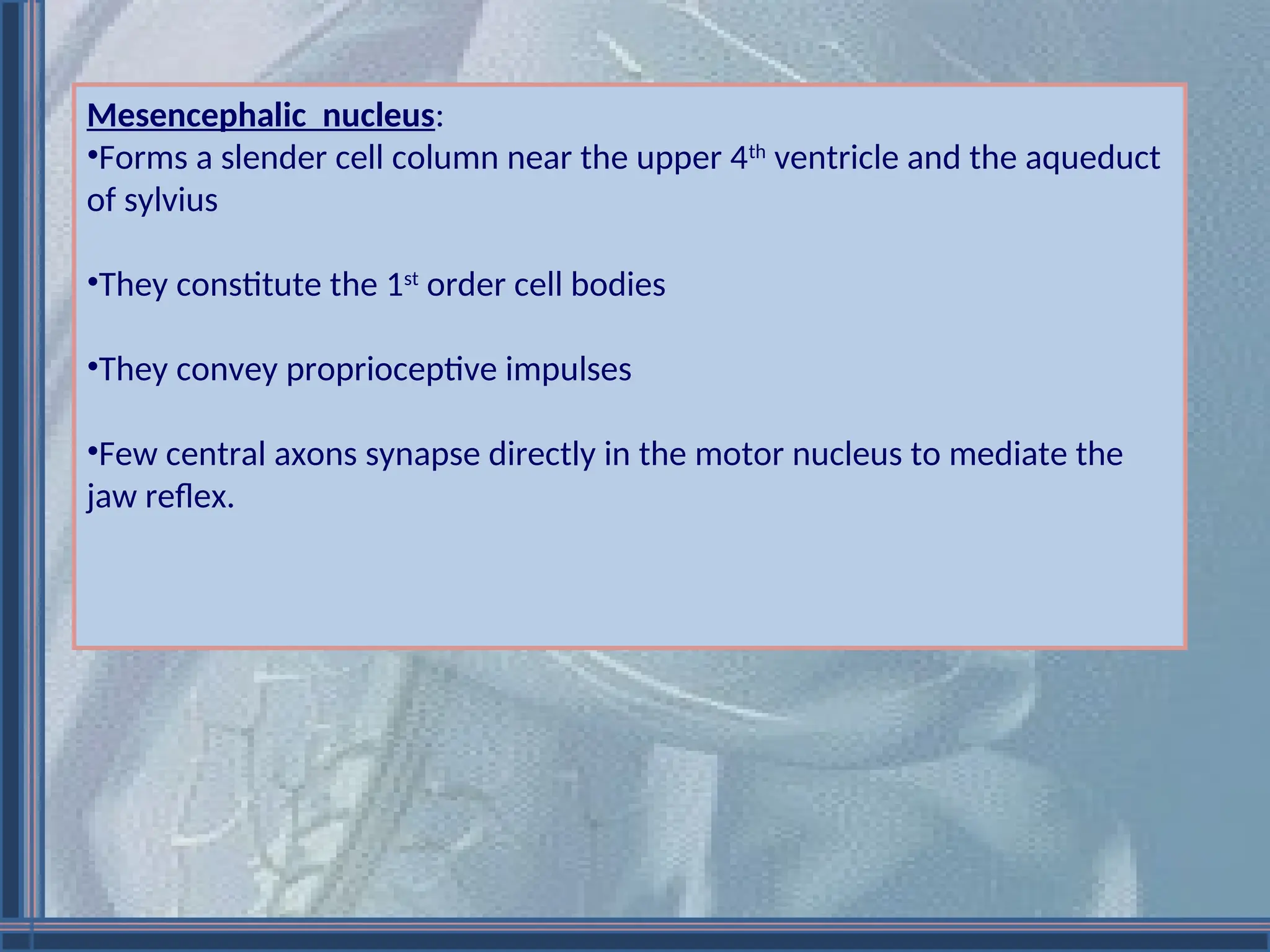 "The Trigeminal Nerve: Anatomy, Function, Clinical Significance, and ...