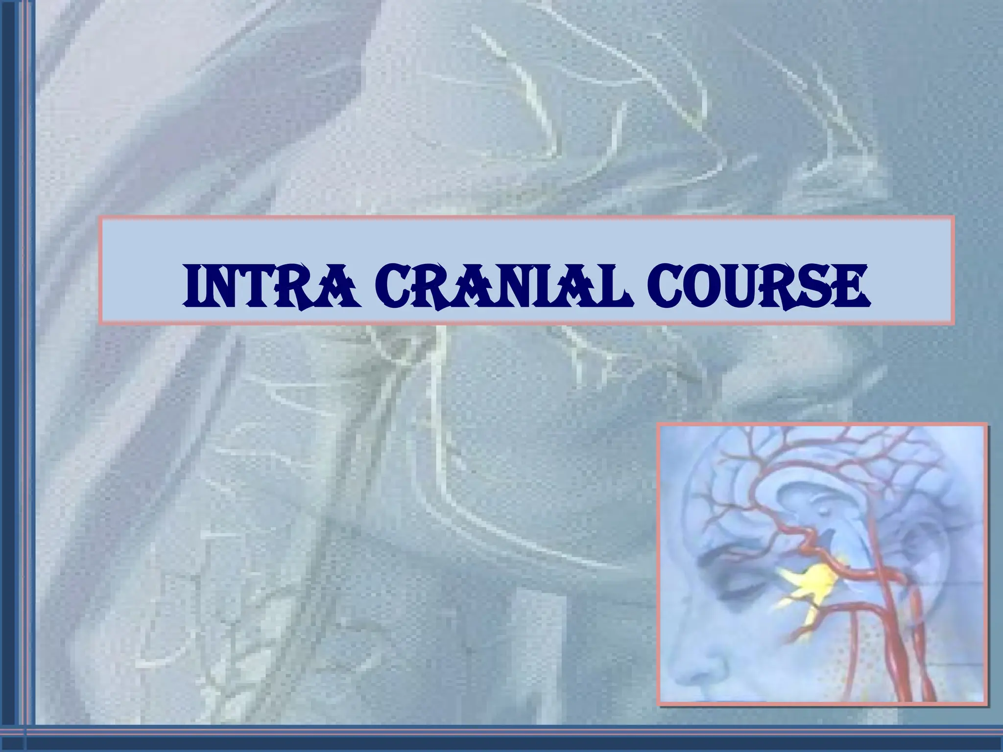 "The Trigeminal Nerve: Anatomy, Function, Clinical Significance, and ...