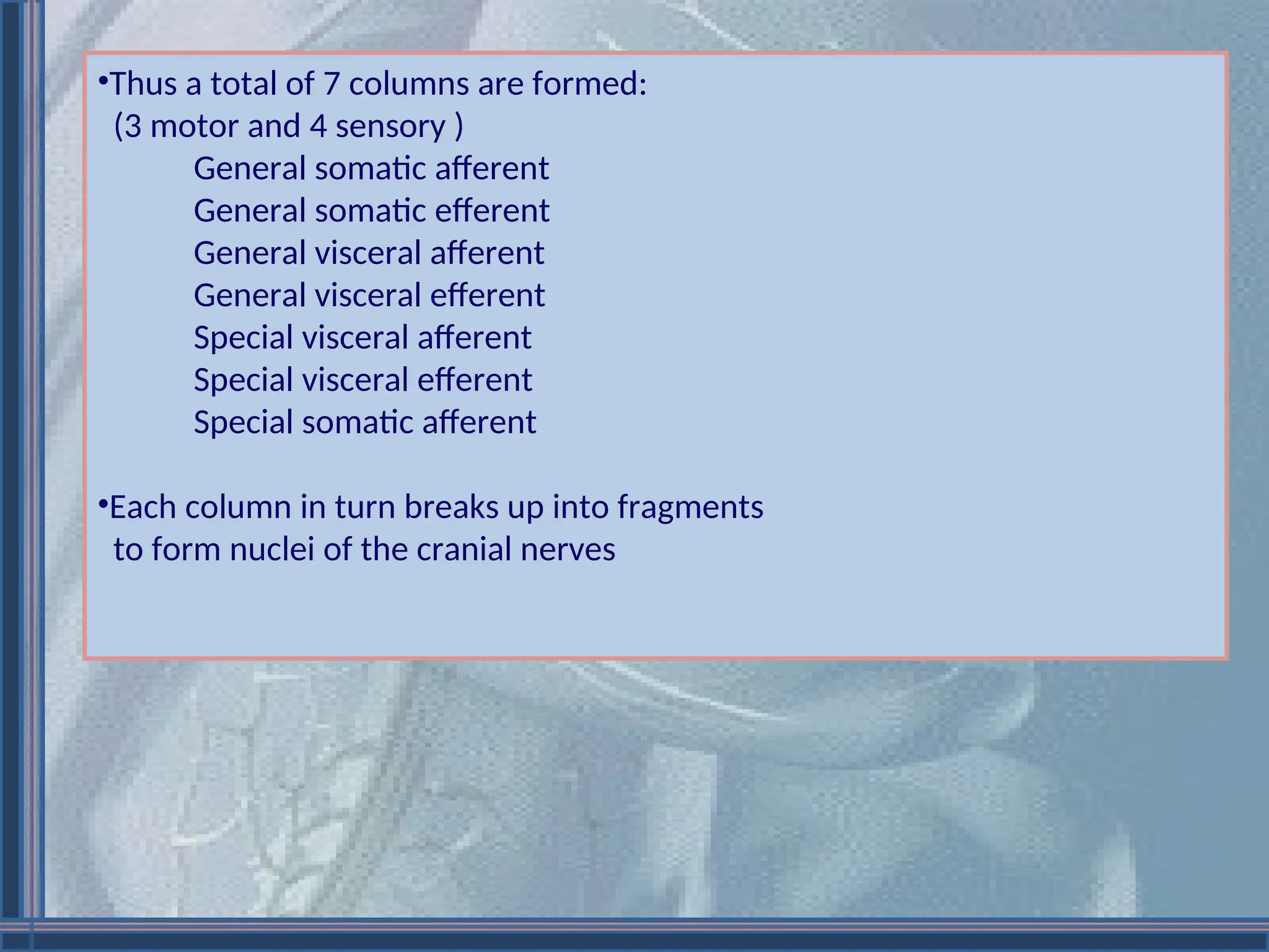 "The Trigeminal Nerve: Anatomy, Function, Clinical Significance, and ...