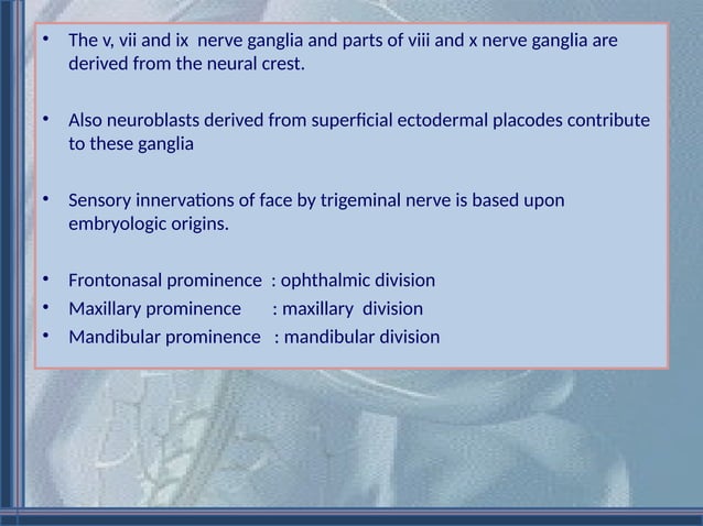 "The Trigeminal Nerve: Anatomy, Function, Clinical Significance, and ...