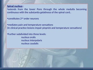"The Trigeminal Nerve: Anatomy, Function, Clinical Significance, and ...