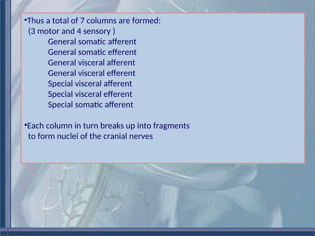 "The Trigeminal Nerve: Anatomy, Function, Clinical Significance, and ...