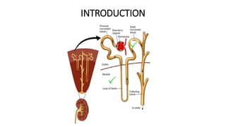 Tubulointerstitial disease | PPTX