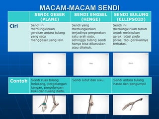 1 Tulang Otot dan Sendi.pptx