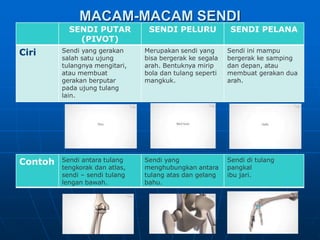 1 Tulang Otot dan Sendi.pptx