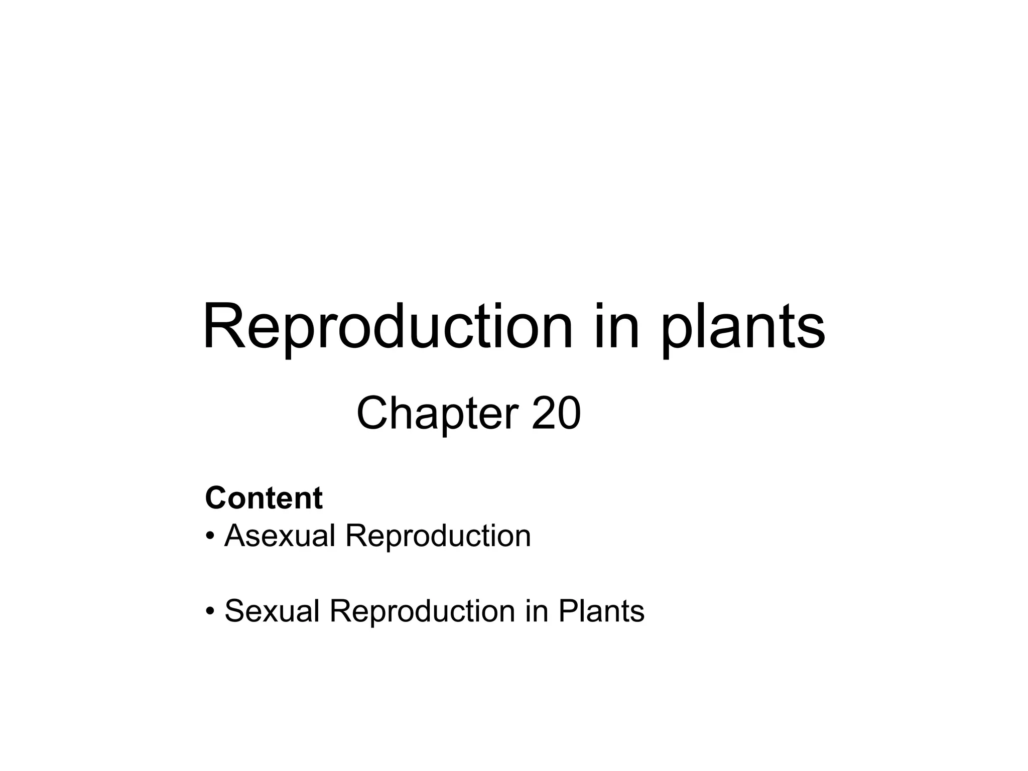 Chapter 16 Reproduction in Plants Lesson 1 - Types of reproduction in ...