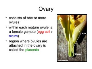 Chapter 16 Reproduction in Plants Lesson 1 - Types of reproduction in ...