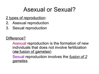 Chapter 16 Reproduction in Plants Lesson 1 - Types of reproduction in ...