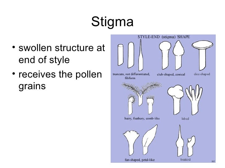 Chapter 16 Reproduction in Plants Lesson 1 - Types of reproduction in…