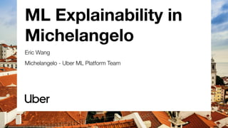 AI/ML Infra Meetup | ML explainability in Michelangelo | PPT