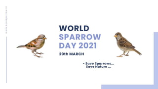 Save sparrow ppt Bhadrachalam | PPT