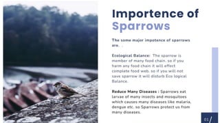 Save sparrow ppt Bhadrachalam | PPT