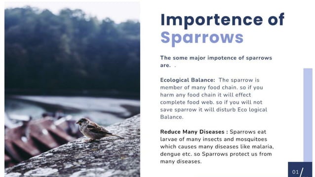 Save sparrow ppt Bhadrachalam | PPTX