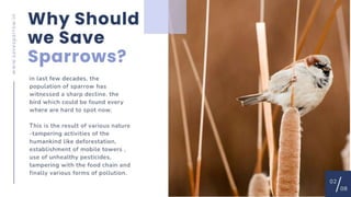 Save sparrow ppt Bhadrachalam | PPT