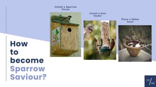 Save sparrow ppt Bhadrachalam | PPT