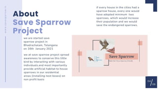 Save sparrow ppt Bhadrachalam | PPT