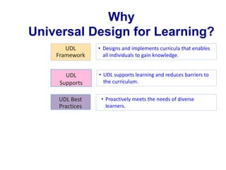 Universal Design for Learning at Inclusive Education Institute | PPTX
