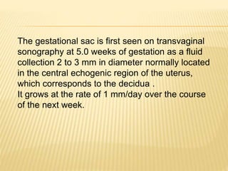 1 ultrasound of the early first trimester | PPTX