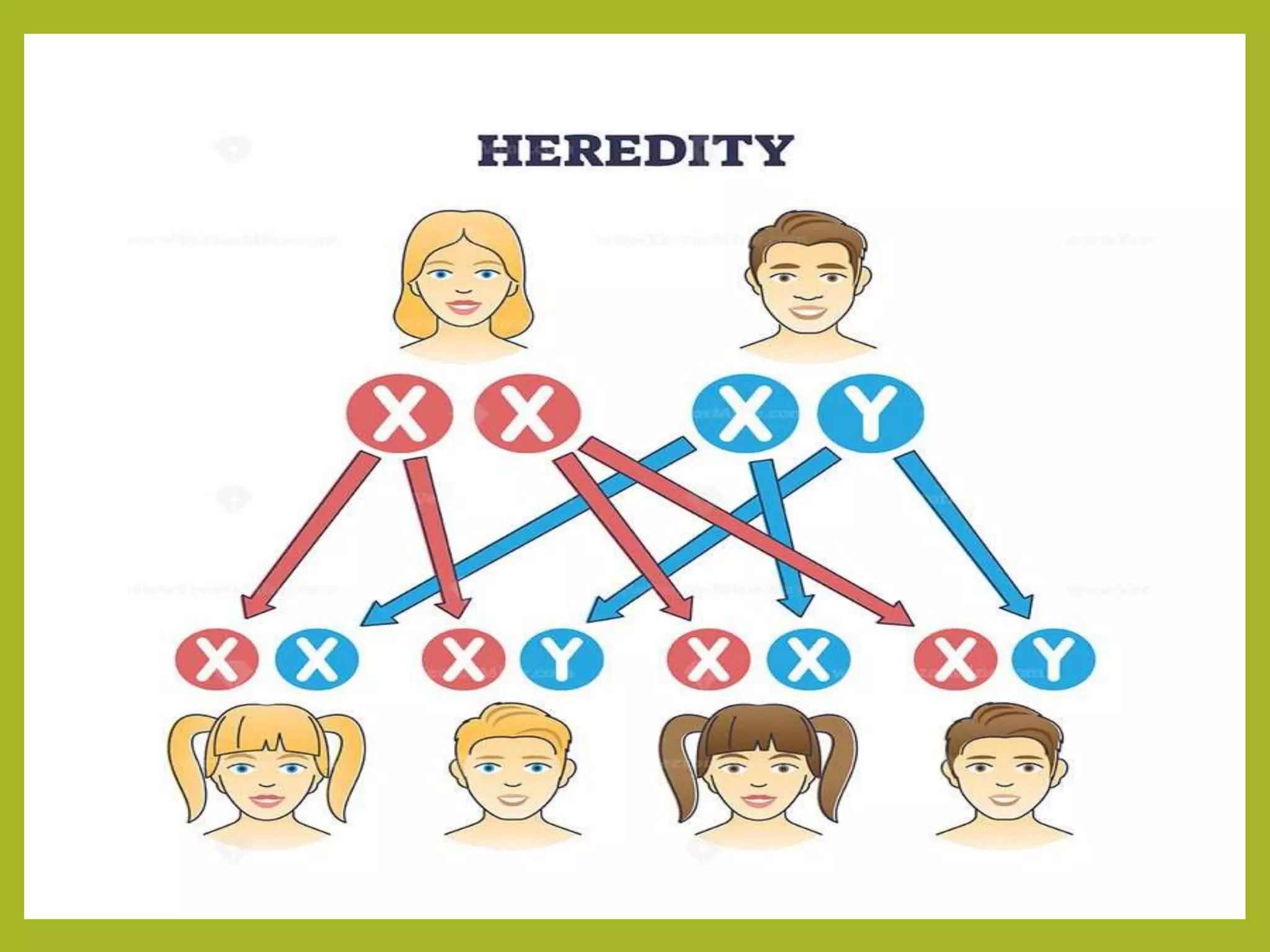 1 Unit - I Introduction to genetics, Practical implications & Impact of ...