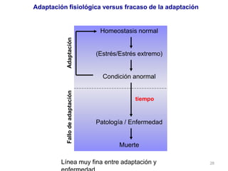Signos vitales Organizacion Corporal Arizona | PPT