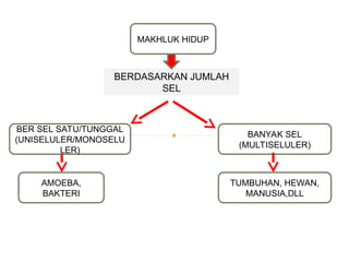 Unit dasar kehidupan dan struktur sel hewan dan tumbuhan | PPT