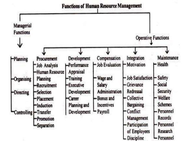 Human Resource Management Unit 1 | PPTX | Human Resources | Business
