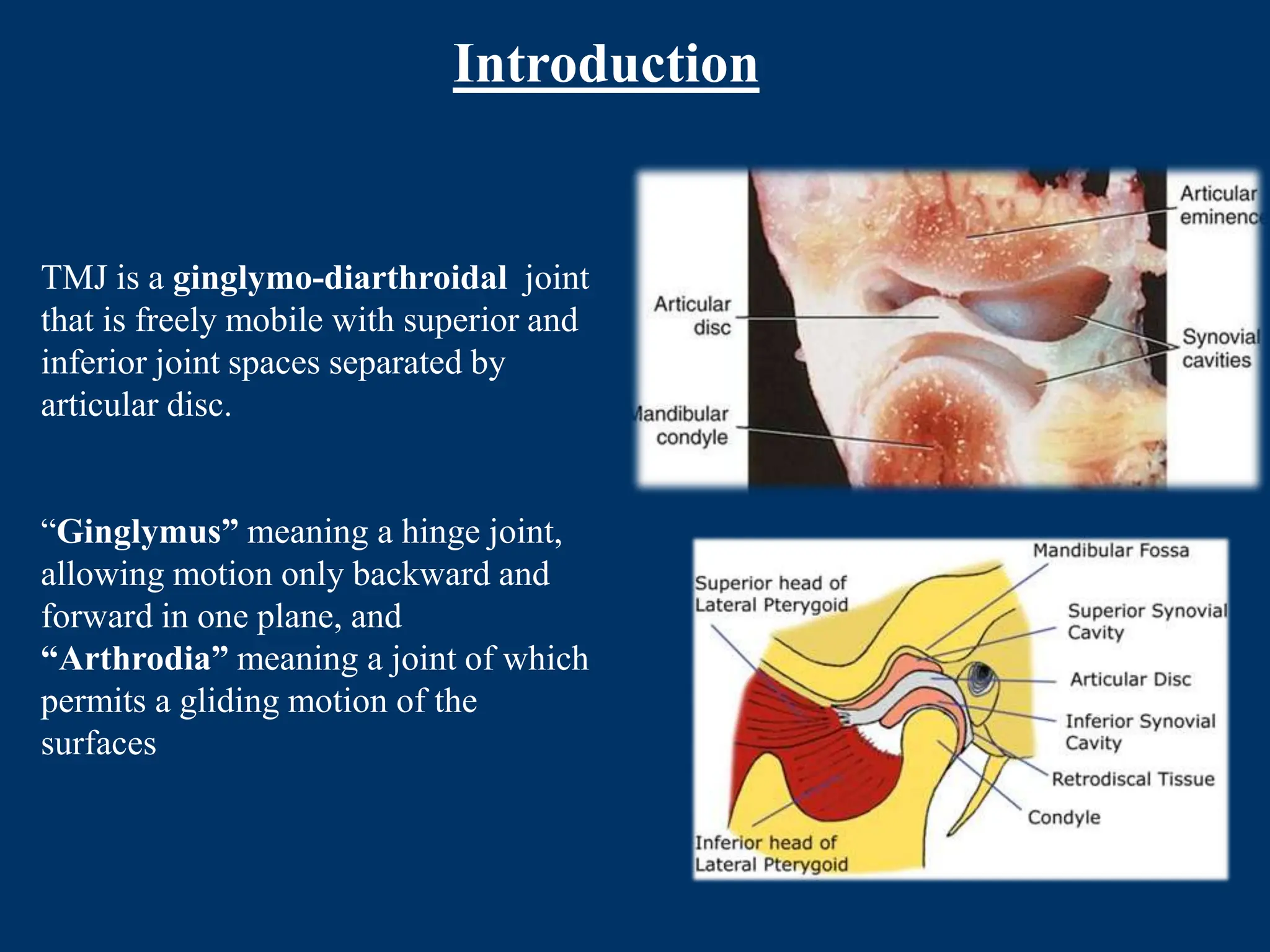 1_updated_temporomandibularjointimaging-180225163412 2.pdf