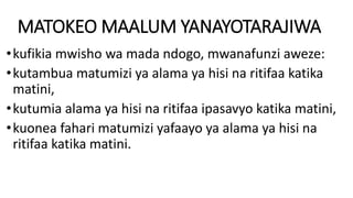 1 USAFI WA SEHEMU ZA UMMA.pptx CBC GRADE 8 | PPTX