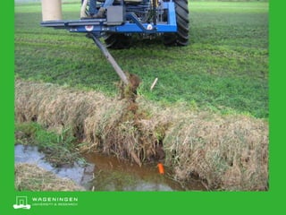 Diminishing peat oxidation of agricultural peat soils by infiltration ...