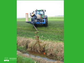 Diminishing peat oxidation of agricultural peat soils by infiltration ...