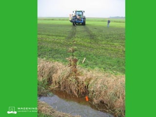 Diminishing peat oxidation of agricultural peat soils by infiltration ...