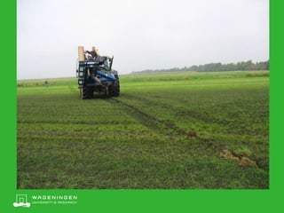 Diminishing peat oxidation of agricultural peat soils by infiltration ...