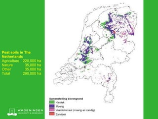 Diminishing peat oxidation of agricultural peat soils by infiltration ...