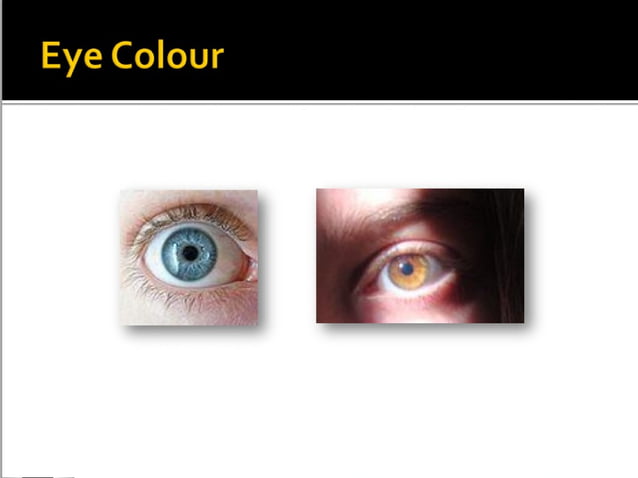 Biology Form 5 Chapter 6 Variation 6.1 | PPT