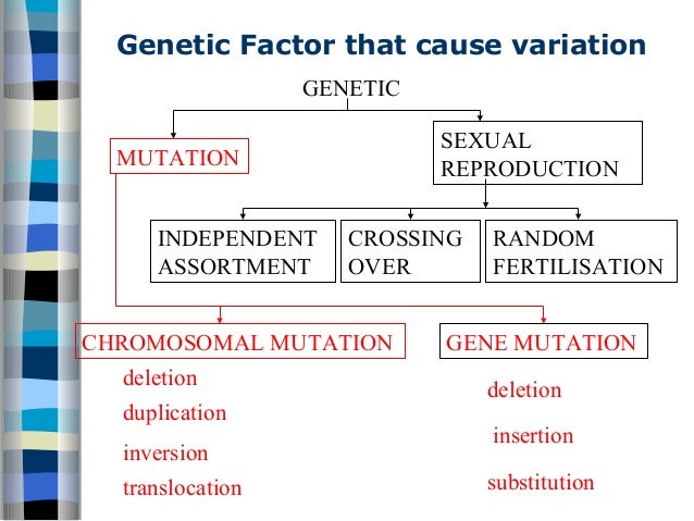 Biology Form 5 Chapter 6 Variation 6.1