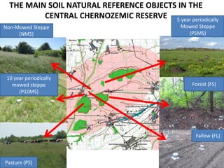 Managing SOC in the black soils of Russia | PPT
