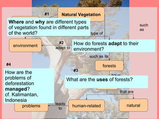 Natural Vegetation: Introduction | PPT | Geography | Science
