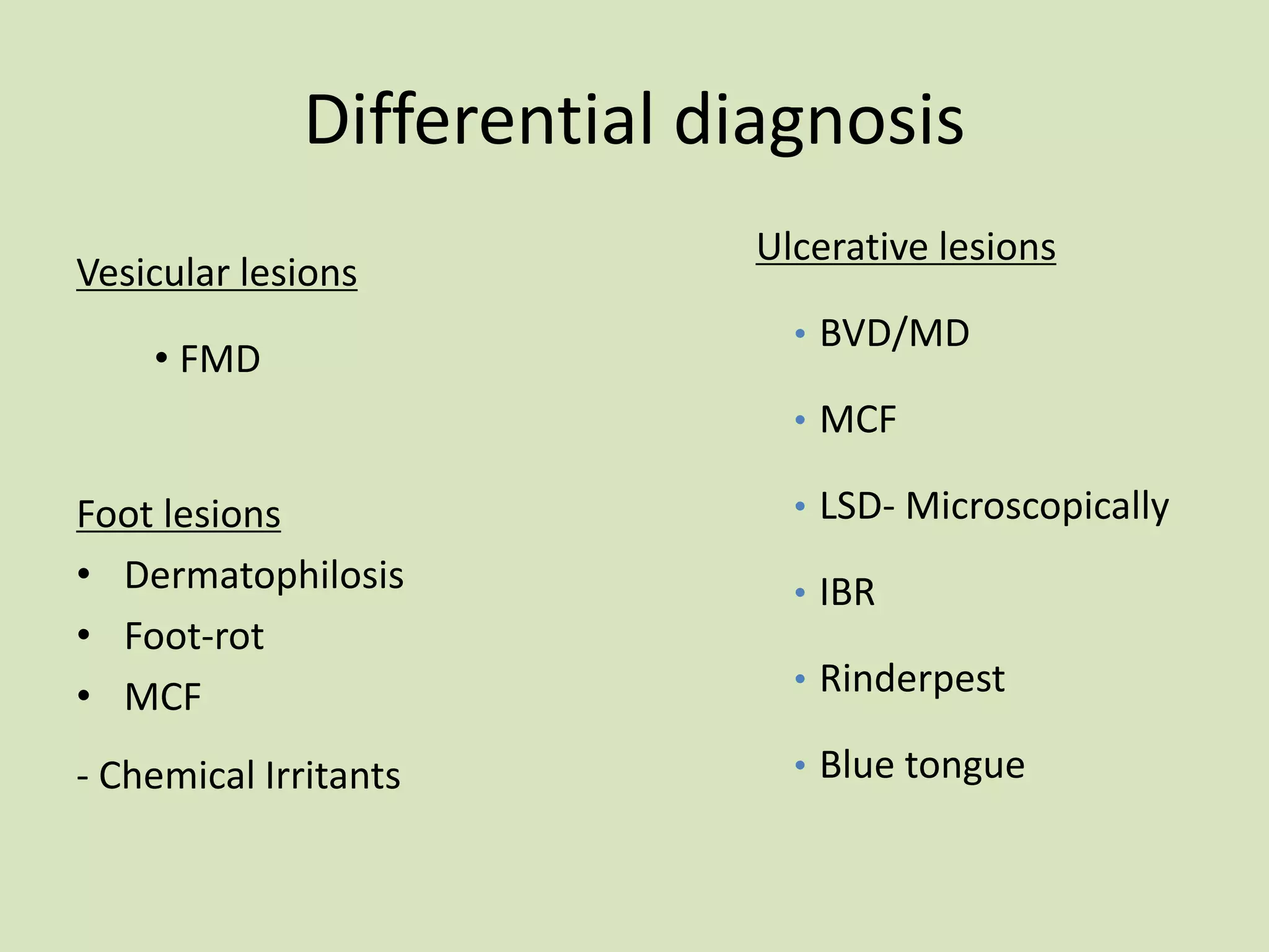 Vesicular stomatitis in Cattle, Horse and pigs | PPTX