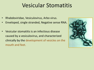 Vesicular stomatitis in Cattle, Horse and pigs | PPTX