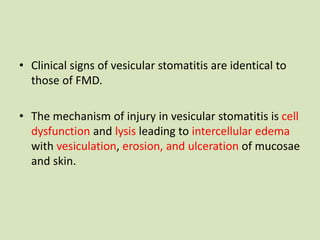 Vesicular stomatitis in Cattle, Horse and pigs | PPTX