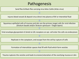 Vesicular stomatitis in Cattle, Horse and pigs | PPT