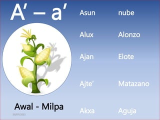 1 vocabulario chuj 2022.ppsx