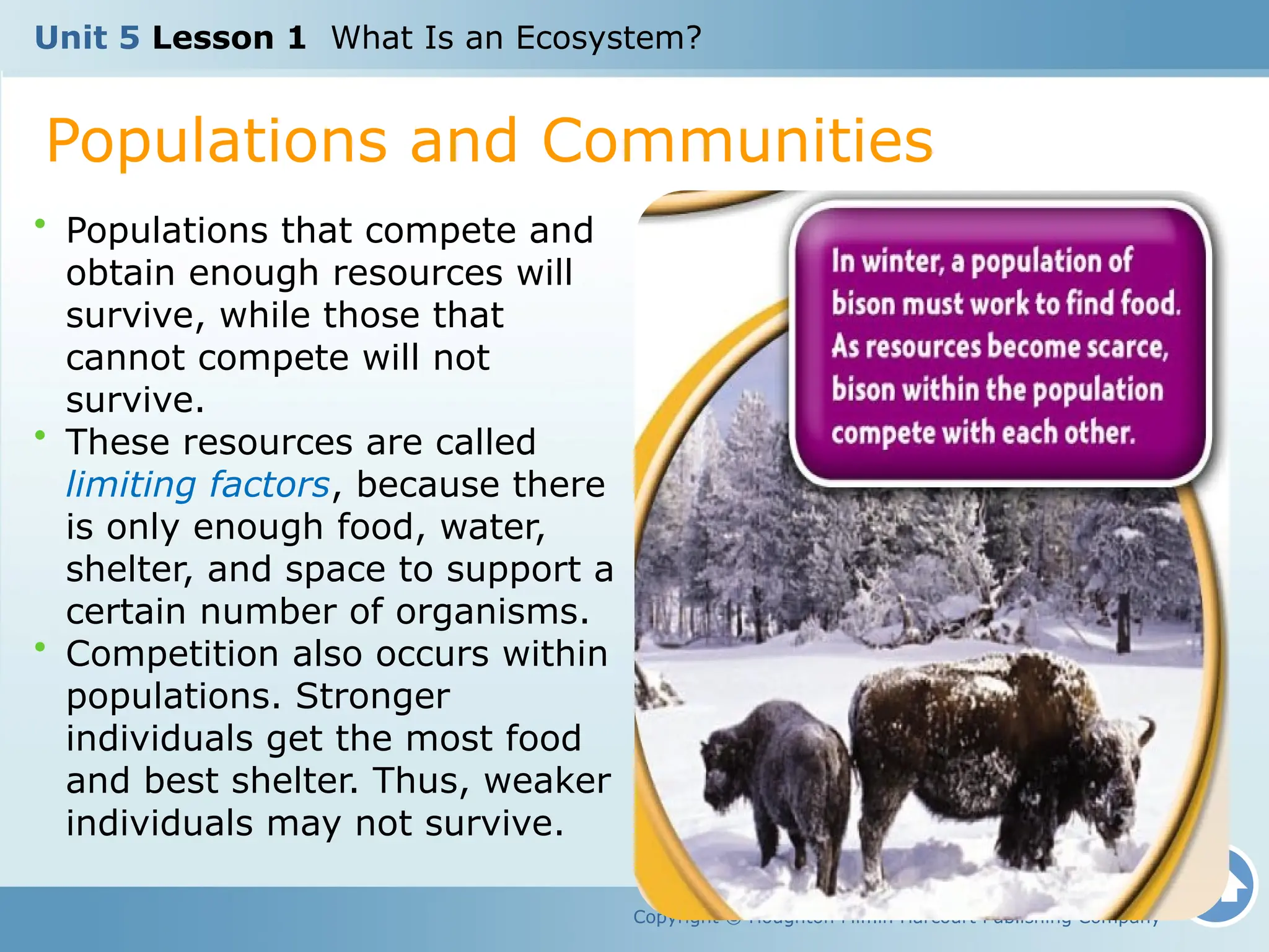 Unit 5 Lesson 1 | What Is an Ecosystem | PowerPoint | PPTX