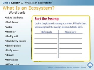 Unit 5 Lesson 1 | What Is an Ecosystem | PowerPoint | PPTX