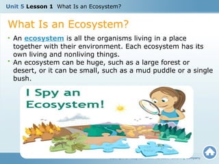 Unit 5 Lesson 1 | What Is an Ecosystem | PowerPoint | PPTX